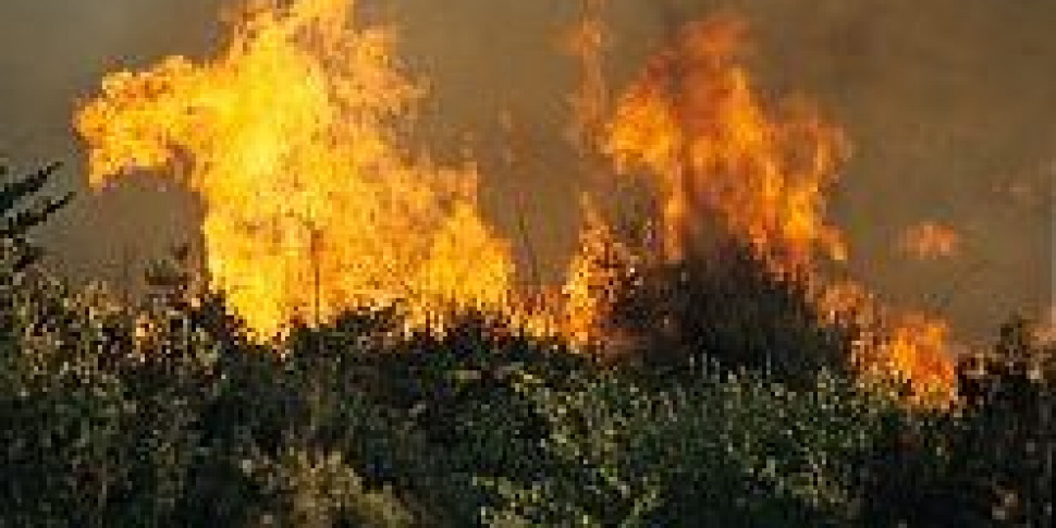 Incendi: brucia un bosco nel ragusano, vigili al lavoro da 24 ore ... Incendi: brucia un bosco nel ragusano, vigili al lavoro da 24 ore ...