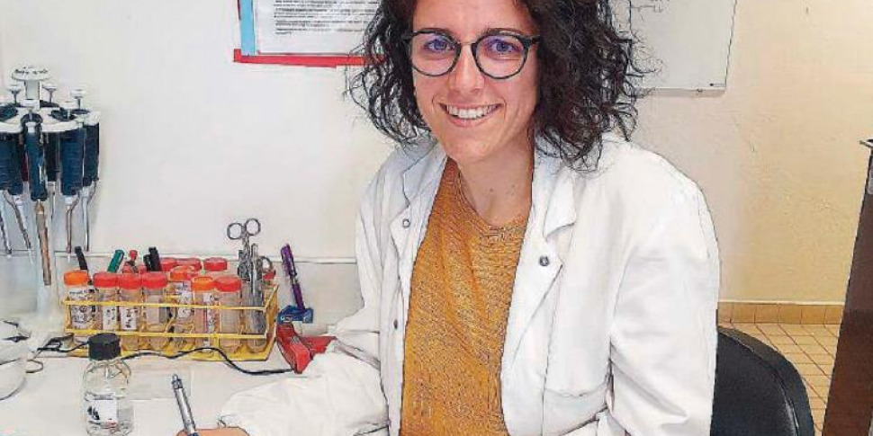 Da Gallico alla task force anti-Coronavirus, la storia della ...