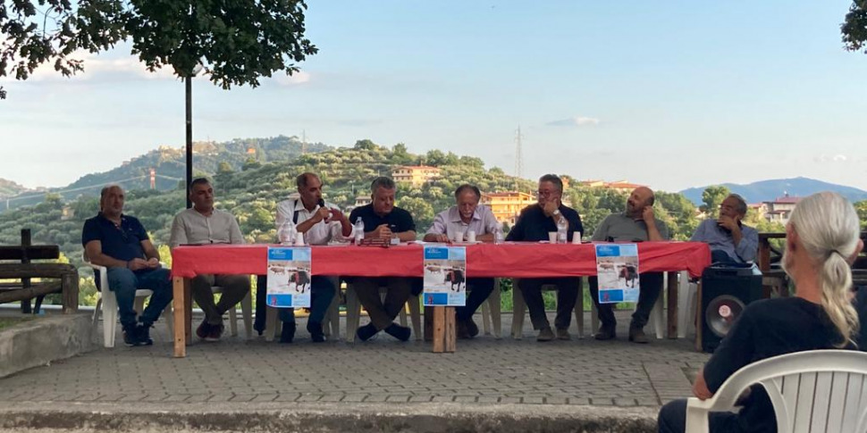 San Pietro Magisano, in cantiere l'organizzazione di un premio ...
