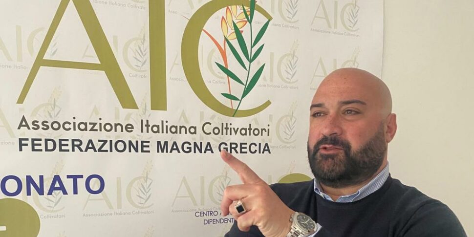 Rottamazione delle cartelle, gli sportelli Caf Aic Magna Grecia di ...