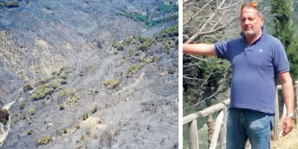 “E i soldi dei ristori post-incendi?”: l’imprenditore agricolo di ...