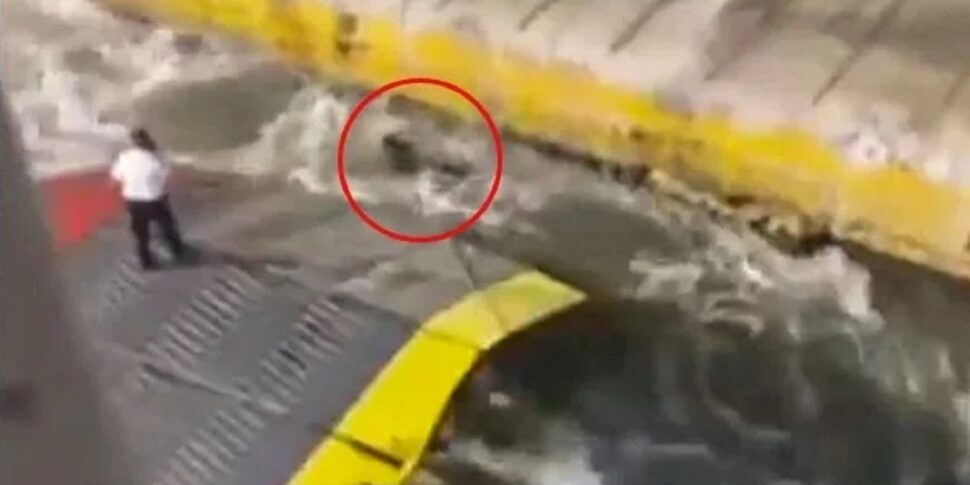 Passeggero in ritardo prova a salire sul traghetto al Pireo, equipaggio ...