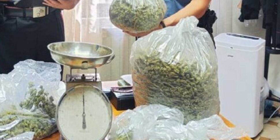 Riceve pacco con 10 chili di marijuana dopo un acquisto online ...