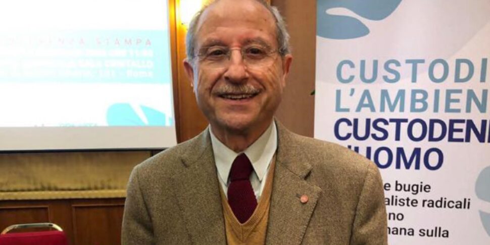 Ponte sullo Stretto, Prestininzi: "Dal comitato scientifico parere ...