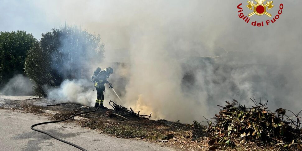 Incendio a Barcellona: le sterpaglie bruciano e invadono uno ...