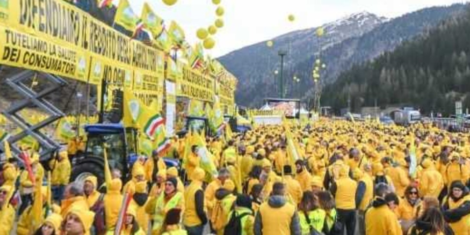 “Tir carico di patate tedesche spacciate per prodotti della Sila”, la ... “Tir carico di patate tedesche spacciate per prodotti della Sila”, la ...