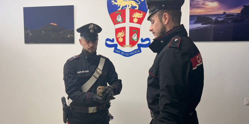 Stromboli, piccolo assiolo soccorso e affidato a centro fauna selvatica ...