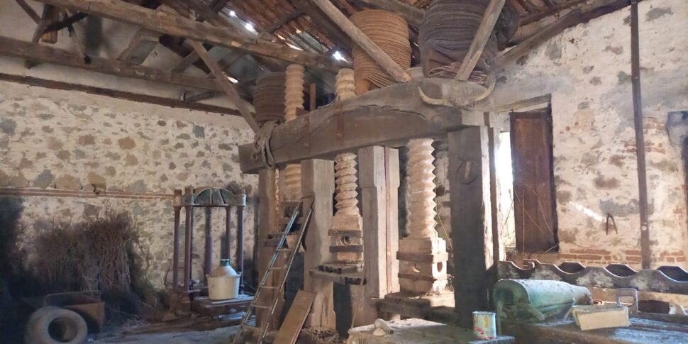 L’America riscopre la Calabria. Ad Acquaro il recupero di un frantoio ...