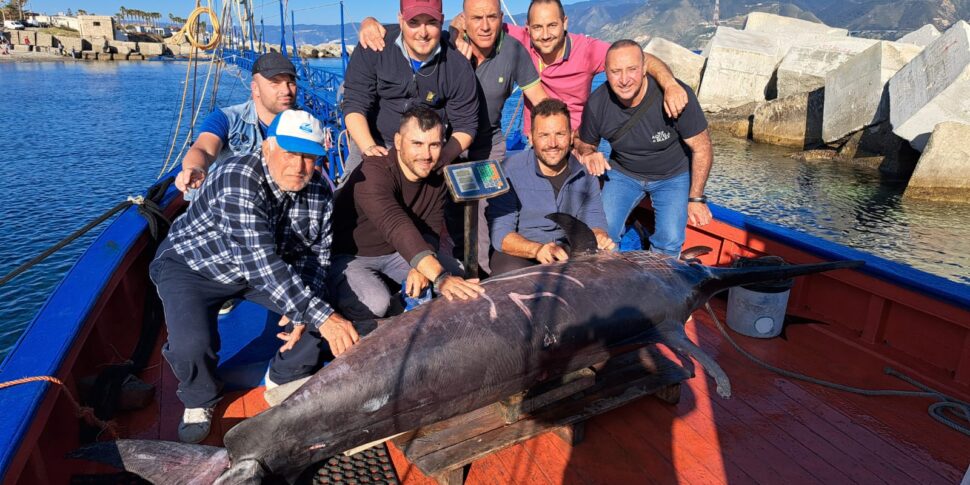Un pesce spada da 260 chili pescato nello Stretto di Messina, l'impresa ...