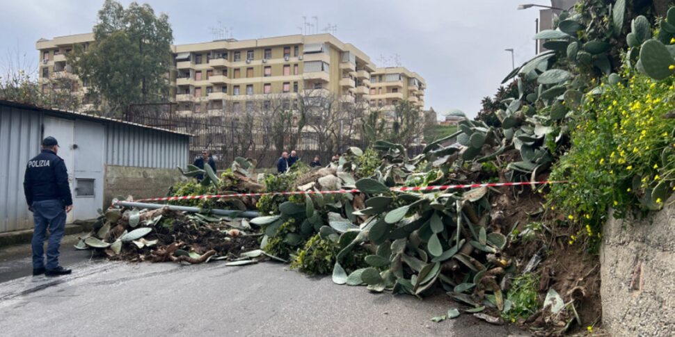 Messina, smottamento a Bisconte: via Polveriera bloccata da piante ...