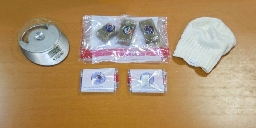 Una testa di leone sui panetti di hashish trovati in casa di un 36enne ...