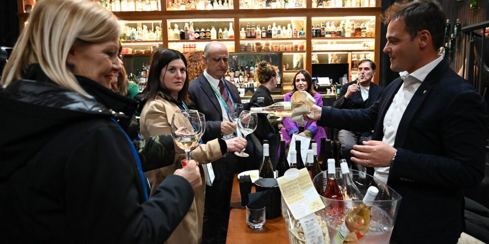 Vibo, trasferta veronese di successo per la nascente Costa degli Dei ...