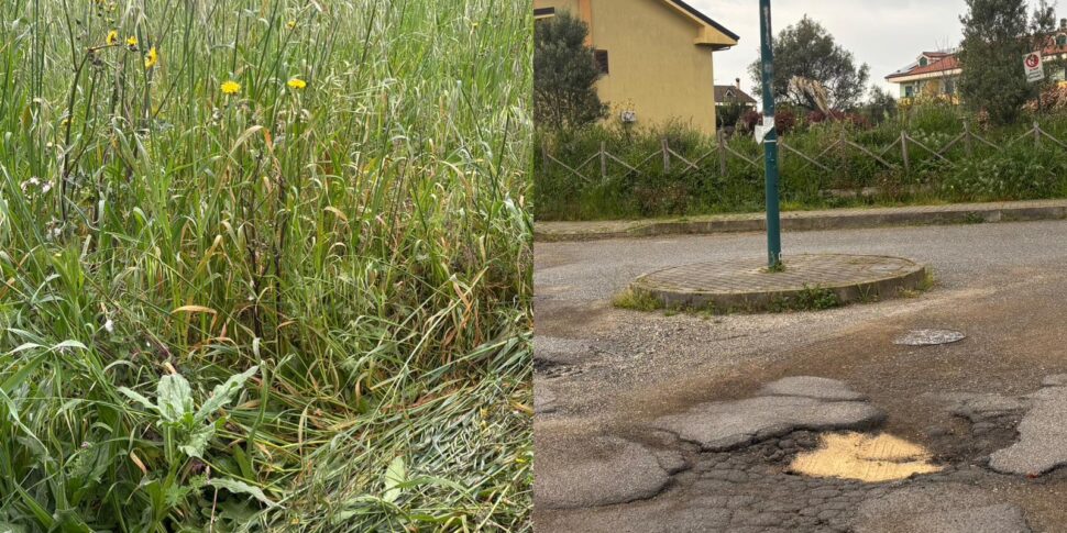 Vibo, Moderata Durant nel degrado: i "crateri" di via Spadolini e la ...
