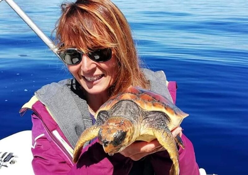 A Lipari il nuovo “Turtle Point”: sarà inaugurato domenica il Centro di ...