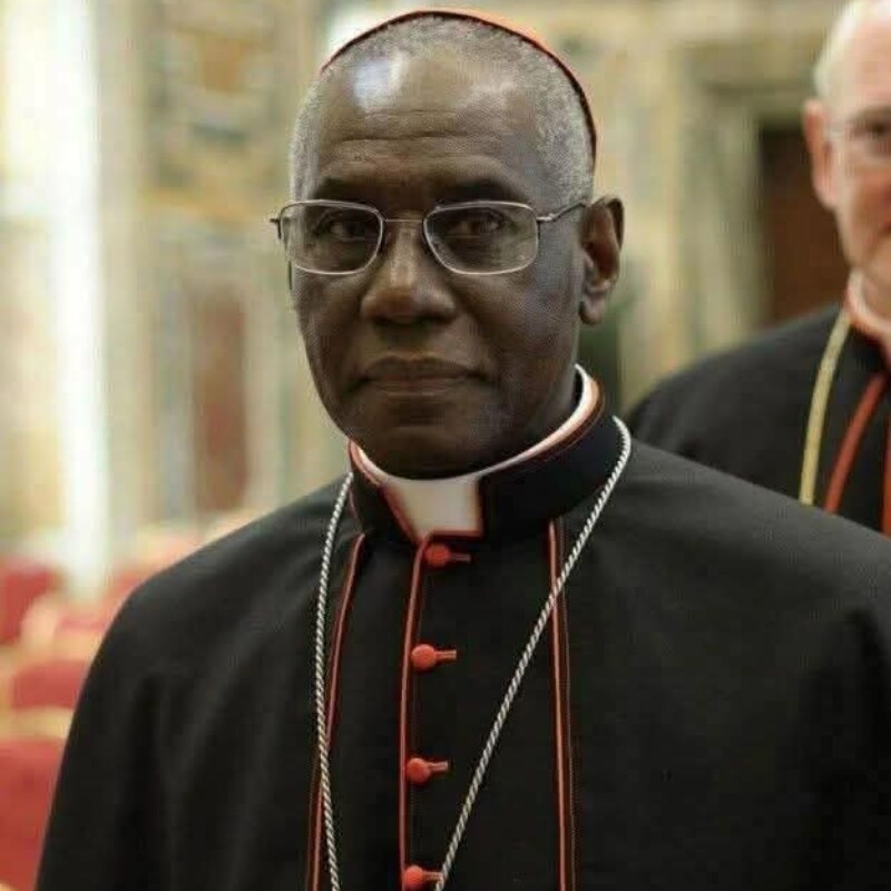 Papa Leone nomina il cardinale Robert Sarah inviato speciale papale ...