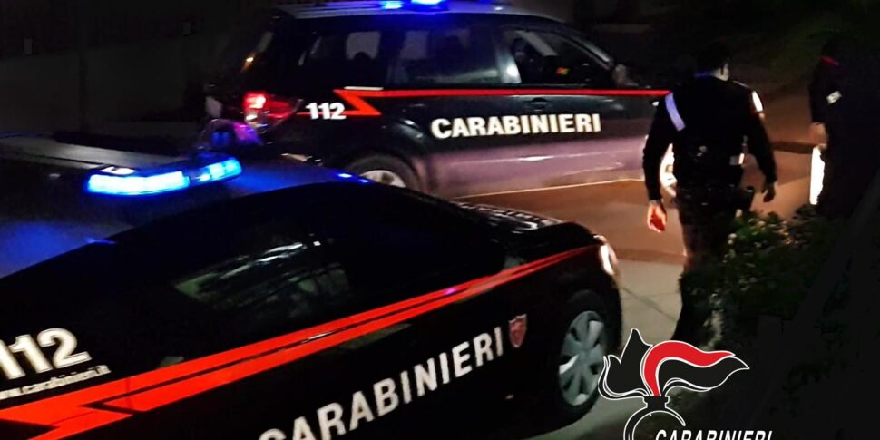 La rete dei narcos della Locride gestita da Barbaro “u castanu ...