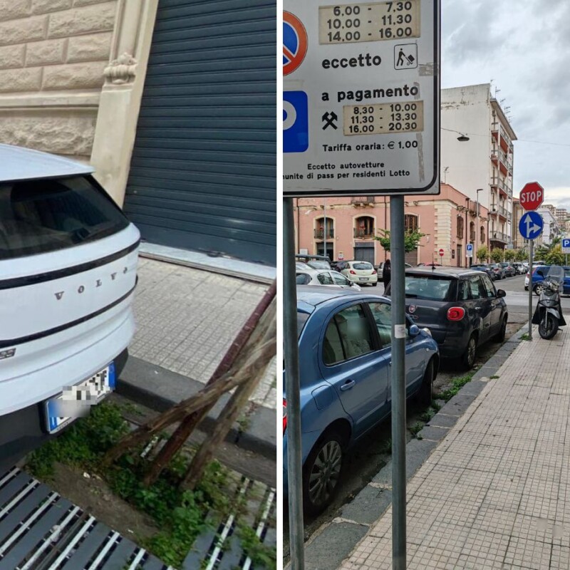Messina, tolleranza zero fuori dagli stalli blu: ma gli alberelli hanno ...