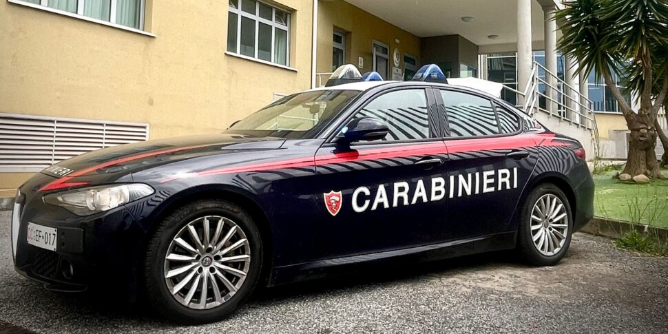 Prima smonta specchietti e antenna a una Punto, poi tenta di rubare una Panda: arrestato un ...