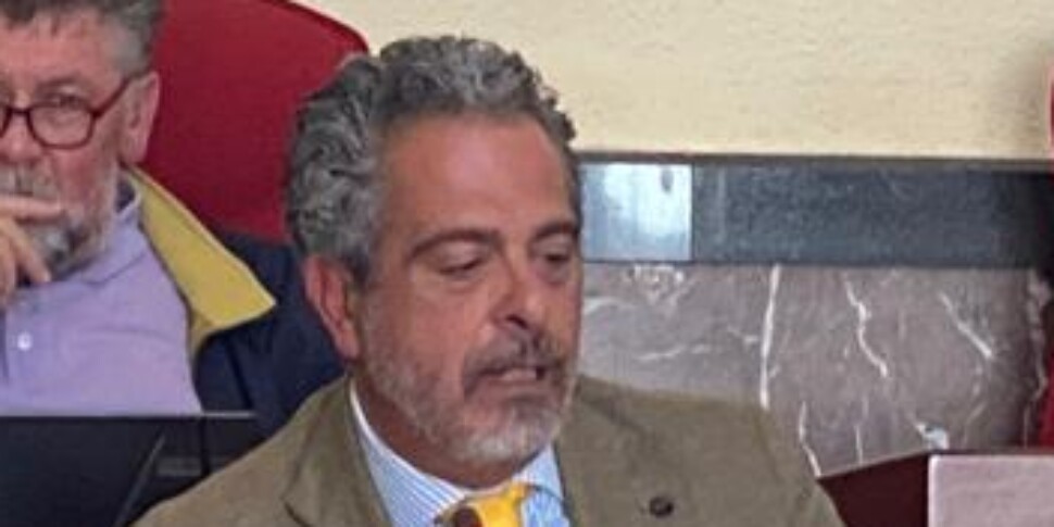 Vibo Valentia, a fuoco i terreni del padre dell’assessore Talarico ...