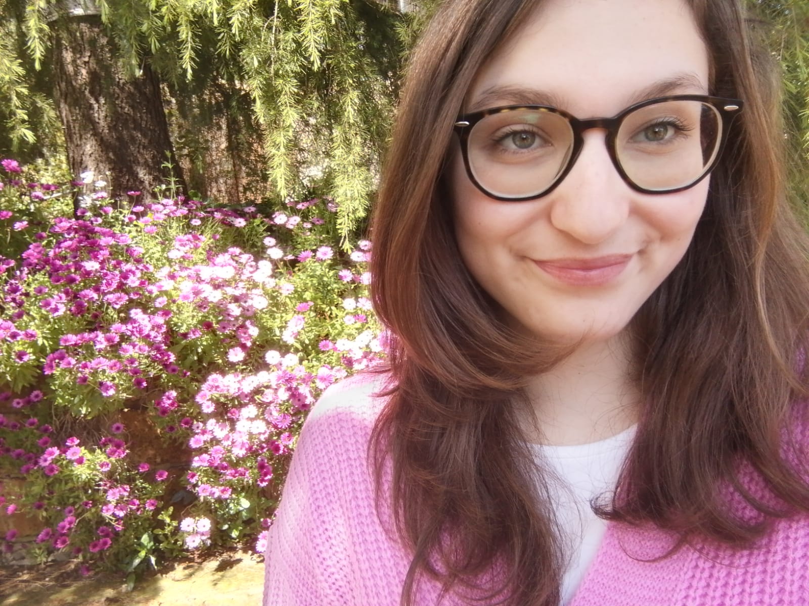 Messina, la maturità al liceo Archimede, una fucina di talenti e ...