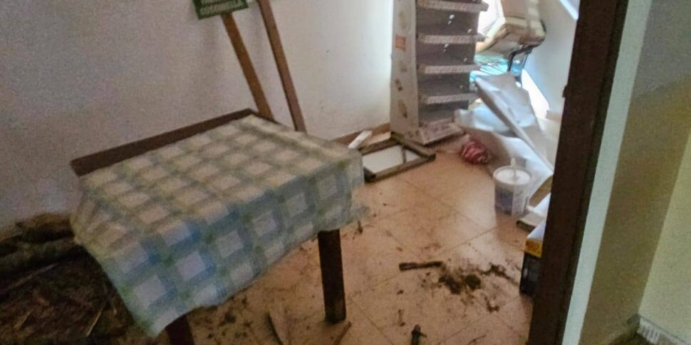 Domanico, “Parco Avventura Potame” devastato dai vandali: stagione ...