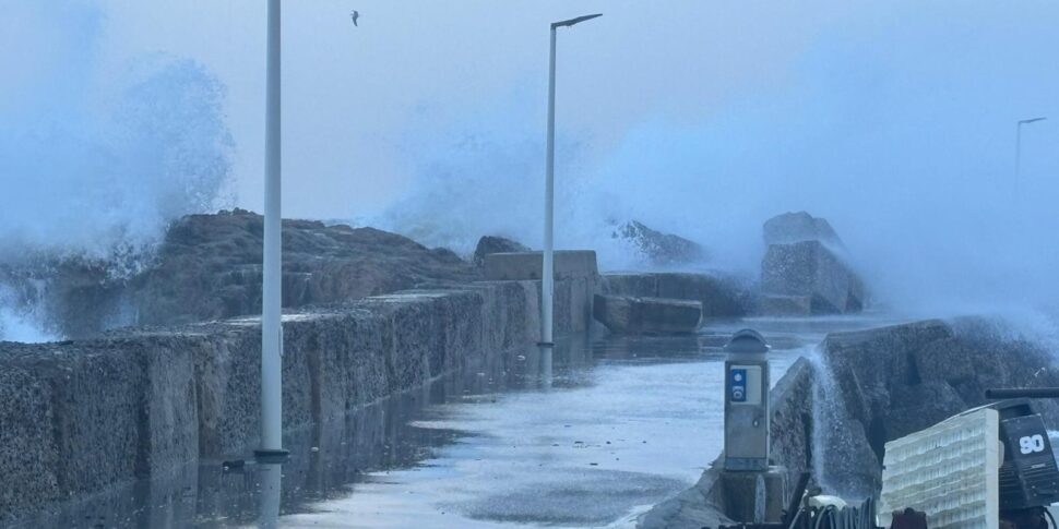 Maltempo in Calabria: esondazioni nel Cosentino, mareggiate e alberi ...