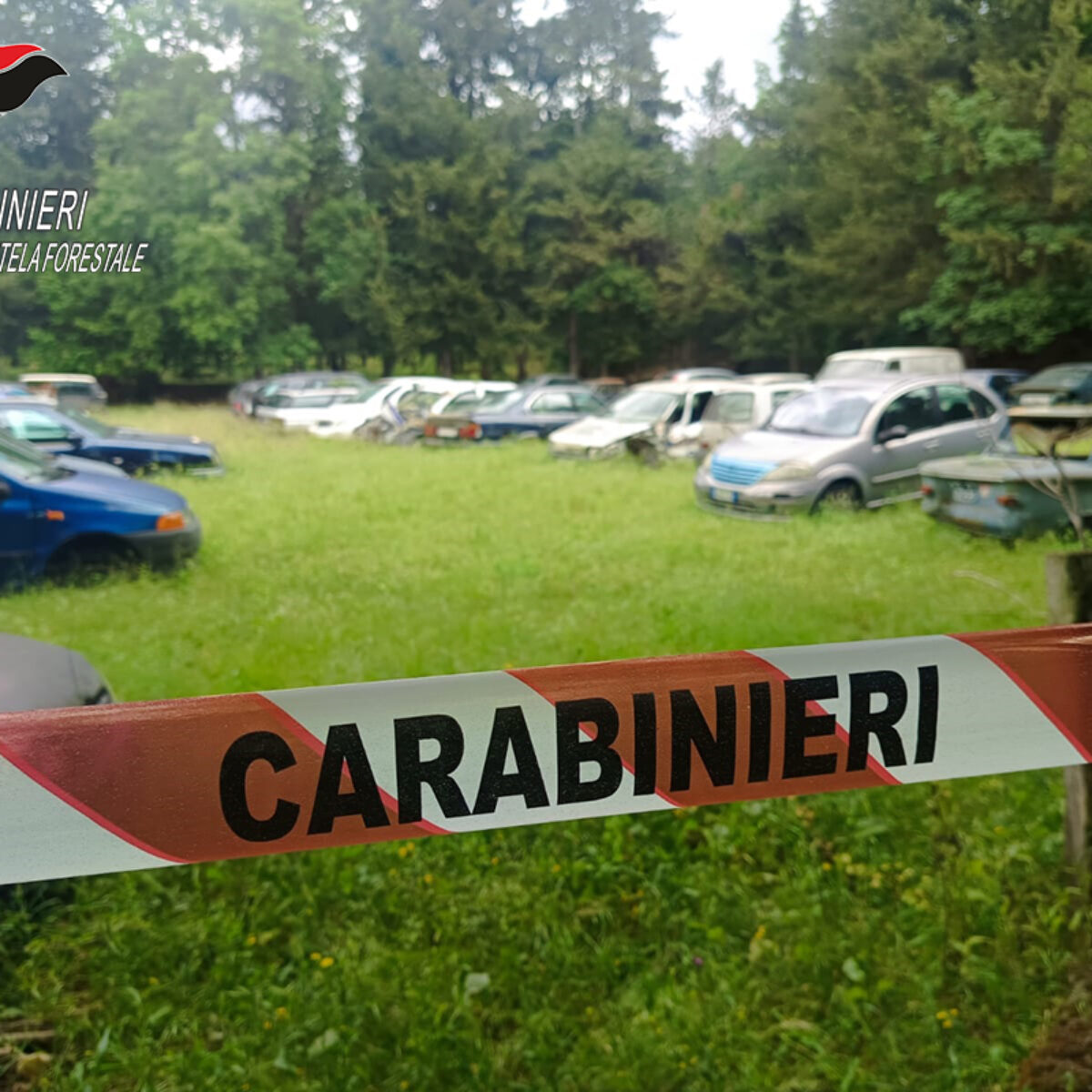 Il Cosentino tra discariche a cielo aperto e roghi di rifiuti: denunce ...