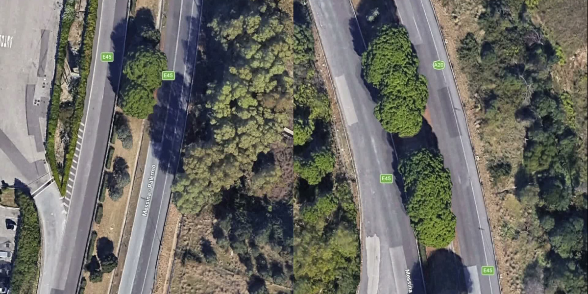 Il taglio degli alberi sulla A20 Messina-Palermo: sanzione di oltre ...