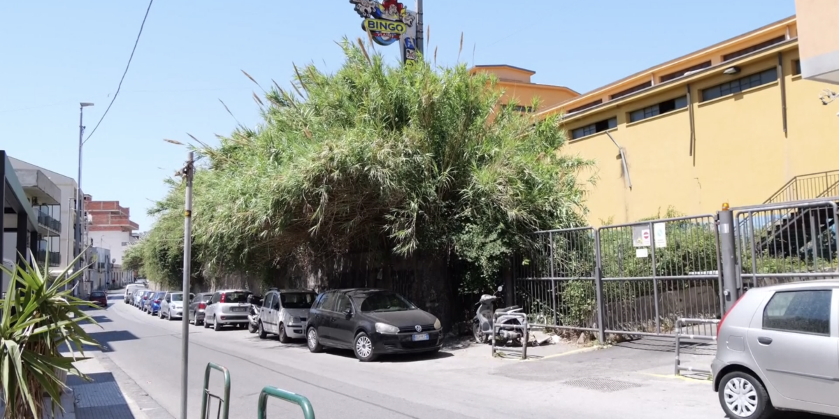 Messina, la giungla dell'ex Bingo: marciapiedi invasi e allarme ...